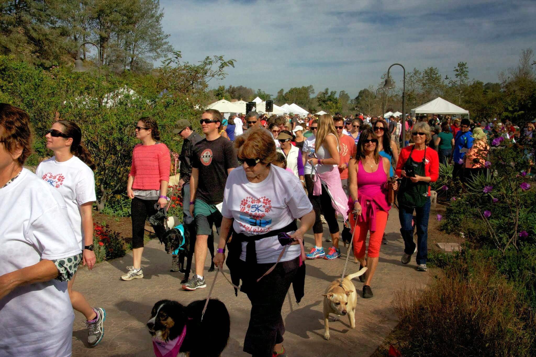 28 Corporate Wellness Ideas and Wellness Activities