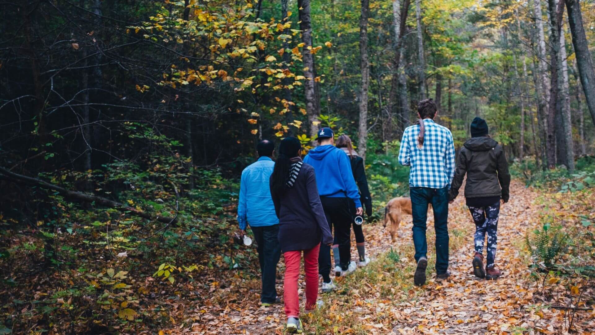 Why City Wellness Programs Build Better Communities
