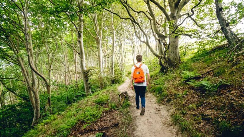 19 Healthy Work Environment Examples For Your Employees