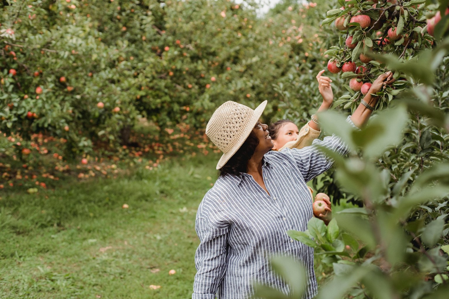 Fall Wellness Tips: 10 Ideas for a Happy & Healthy Autumn