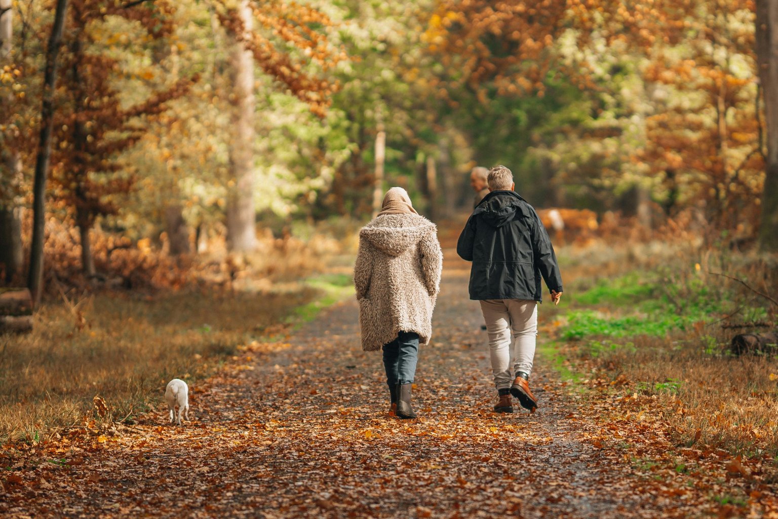 Fall Wellness Tips: 10 Ideas for a Happy & Healthy Autumn